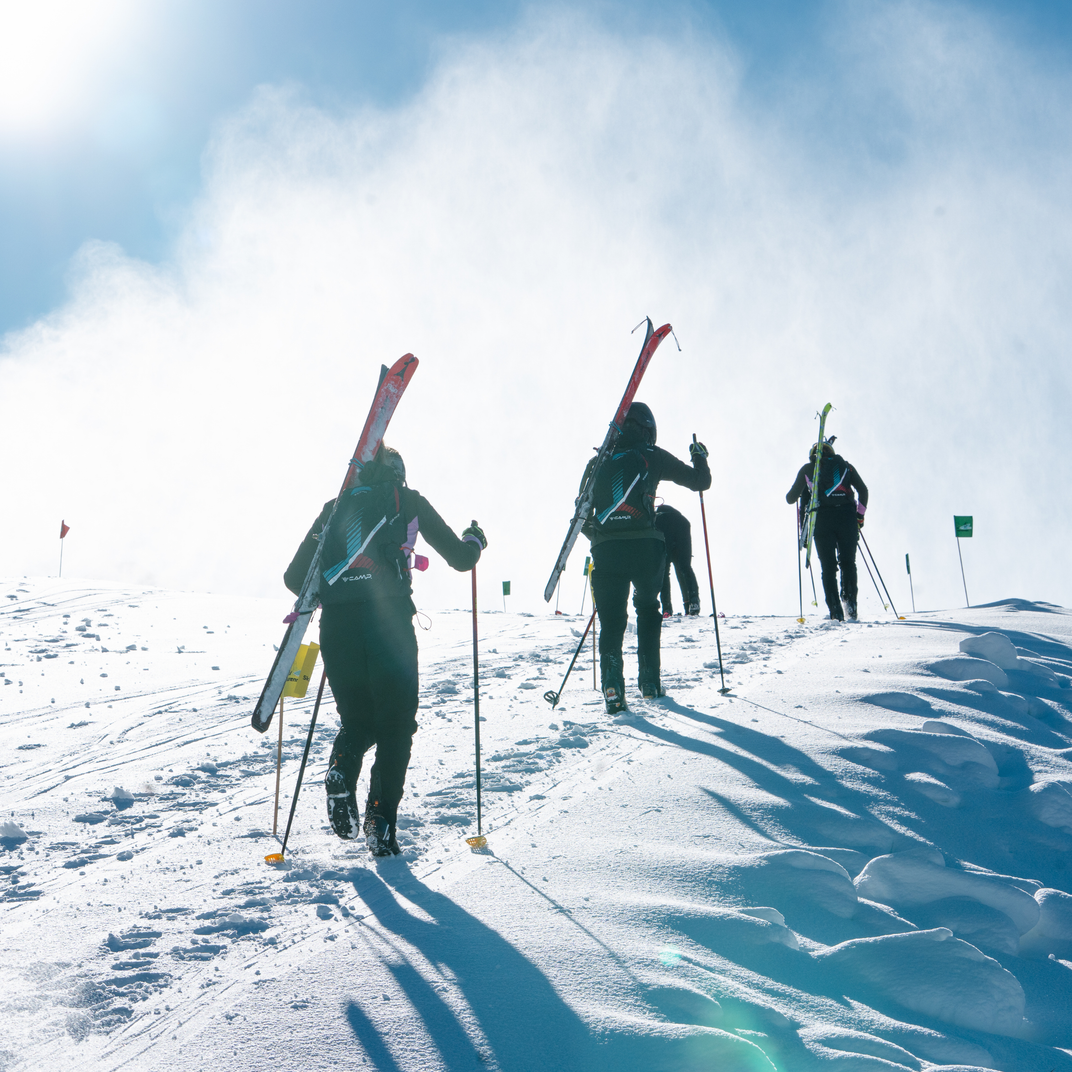 Olympia – Contour Skins